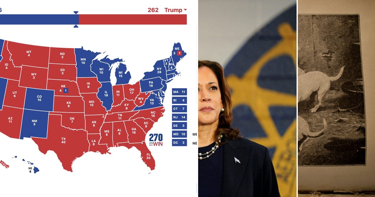 List: Education | Curated by Serbcelt | Medium