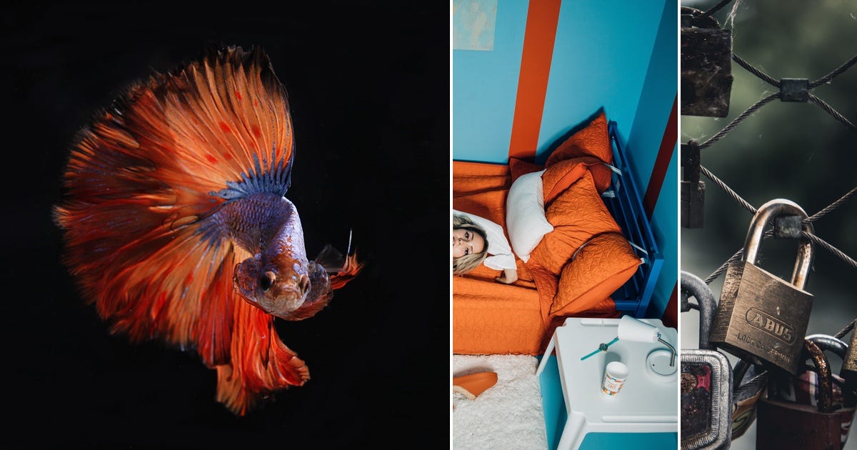 List: Anti-Memoirs of a Muse | Curated by Julia Kalman | Medium