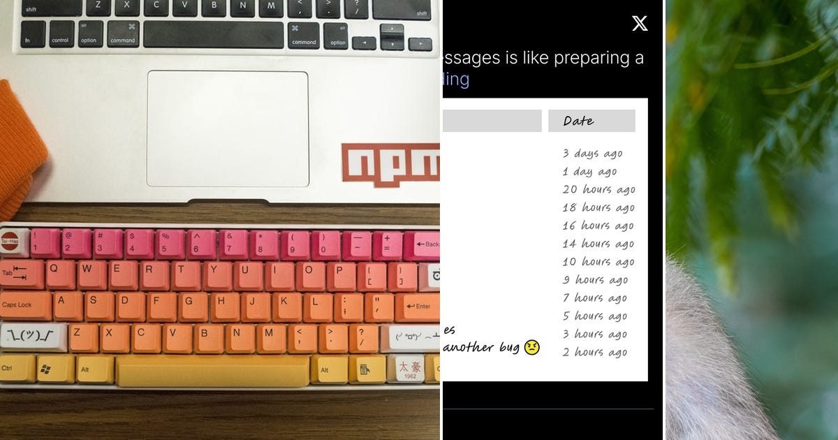List: Developer | Curated by Dudu Neto | Medium