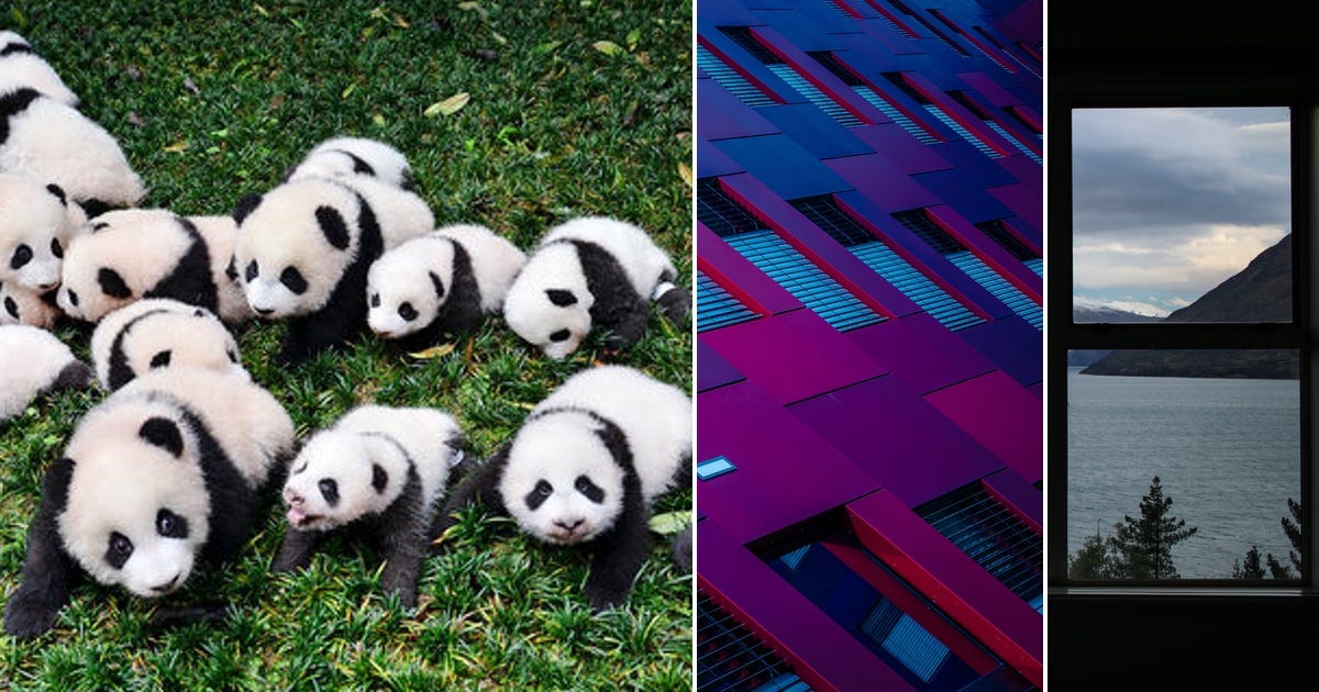 List: Pandas | Curated by Swapnil Parkhe | Medium