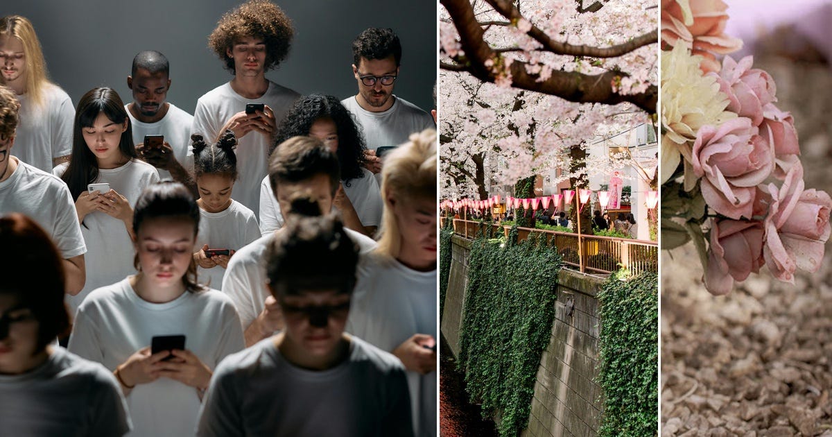 List: Personal Development | Curated by Heroic Cheryl | Medium