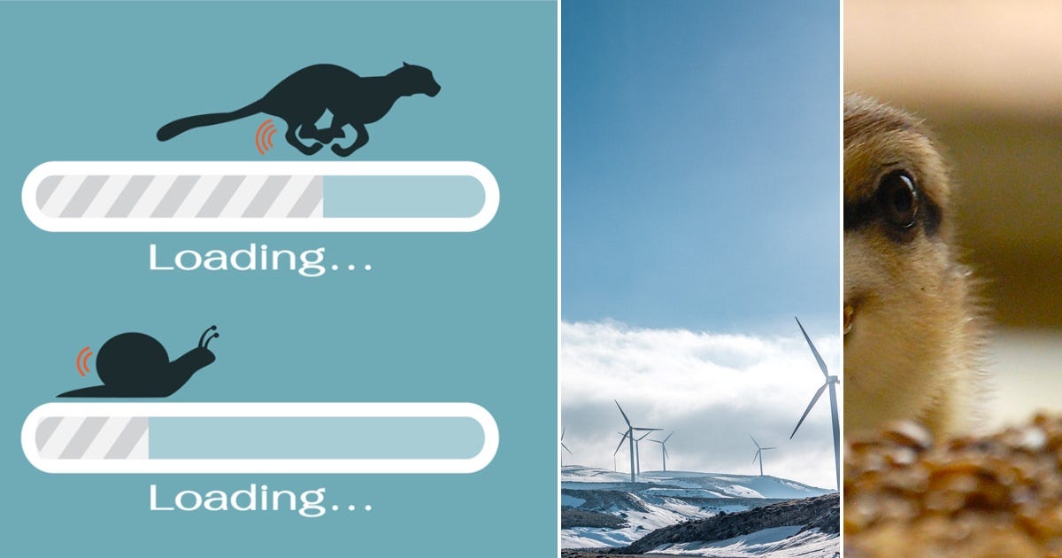 List: Python | Curated by Nikhil George Ninan | Medium