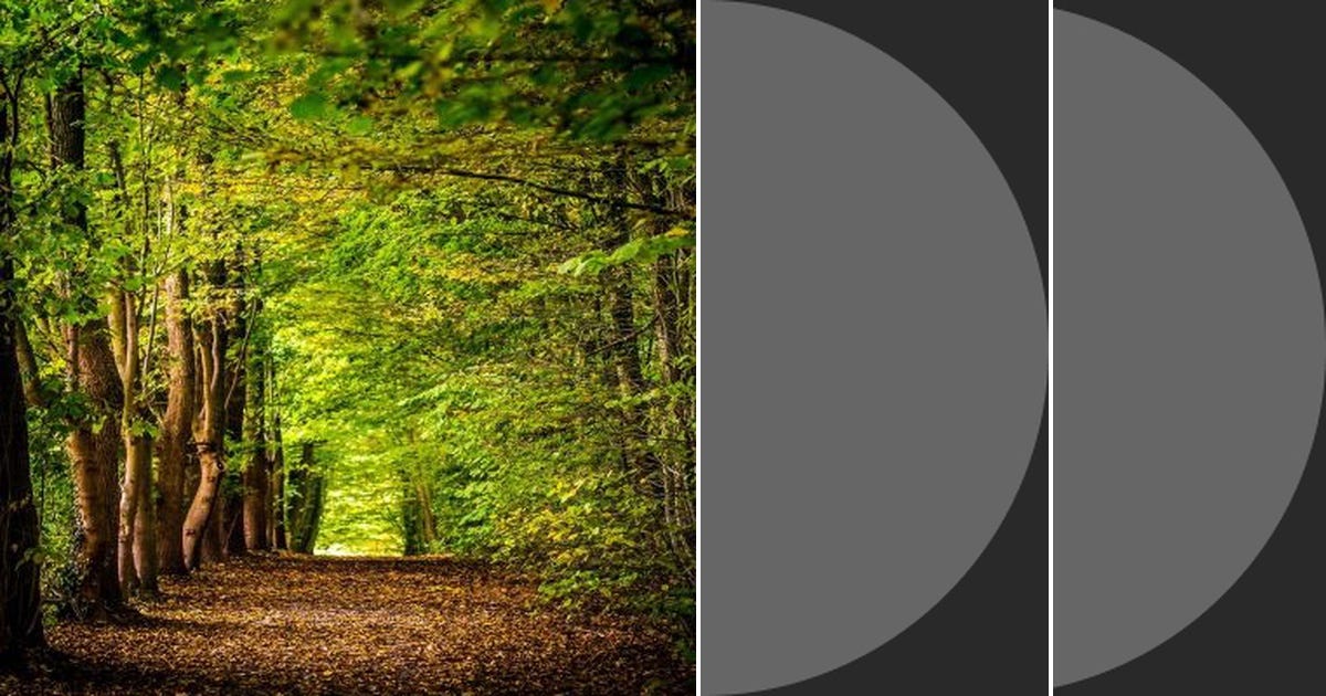 List: XGBoost | Curated by Himanshu Chaturvedi | Medium