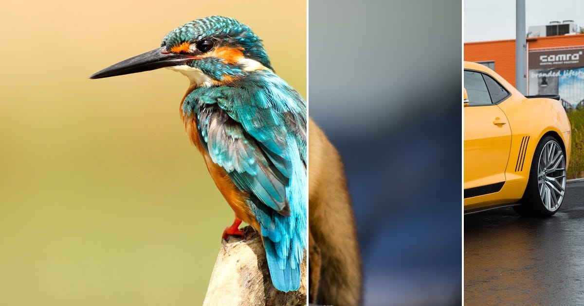 List: Time series | Curated by Carlos Guedes | Medium