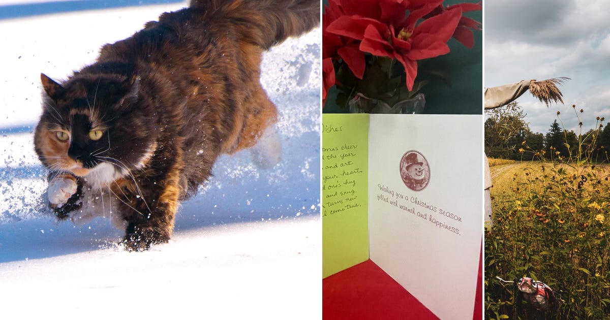 List: Creative Non-Fiction | Curated by Shereen Bingham | Medium