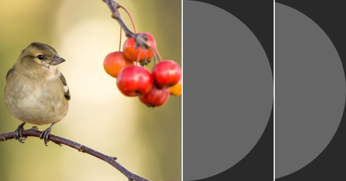 List: block chain | Curated by Raden_Bimo | Medium