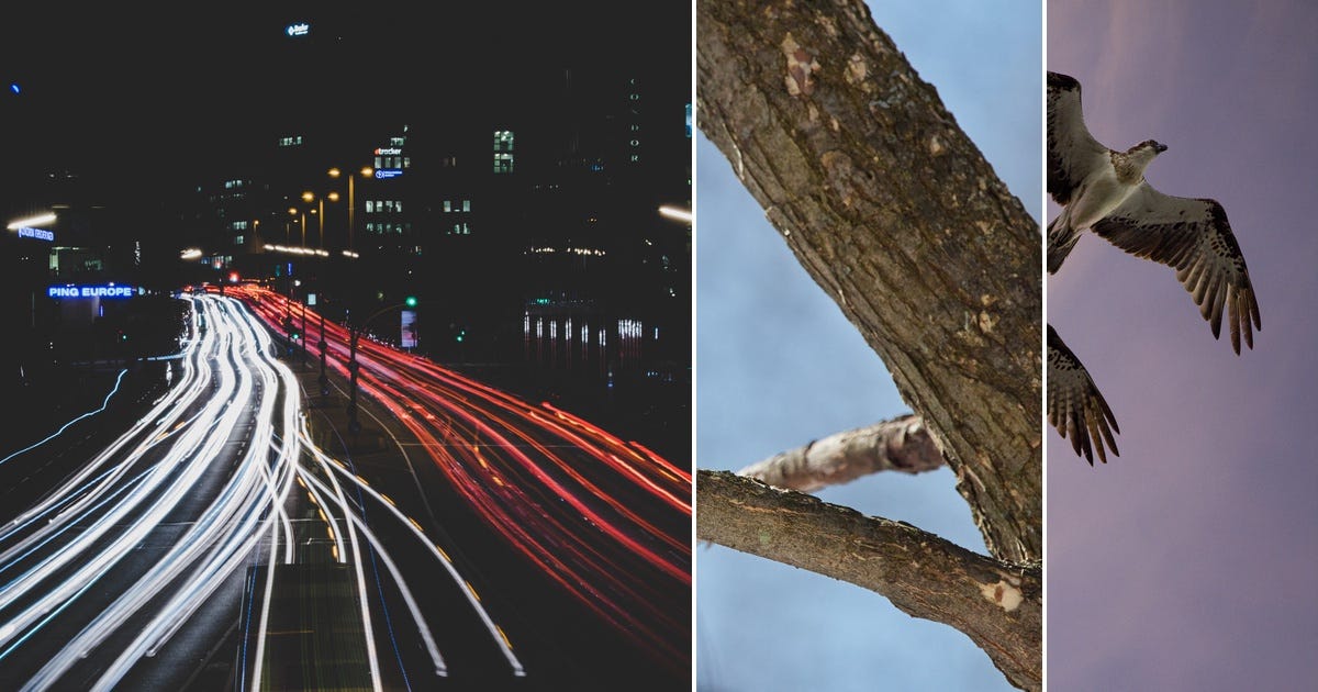 List: Motion Detection | Curated by Isaac Berrios | Medium