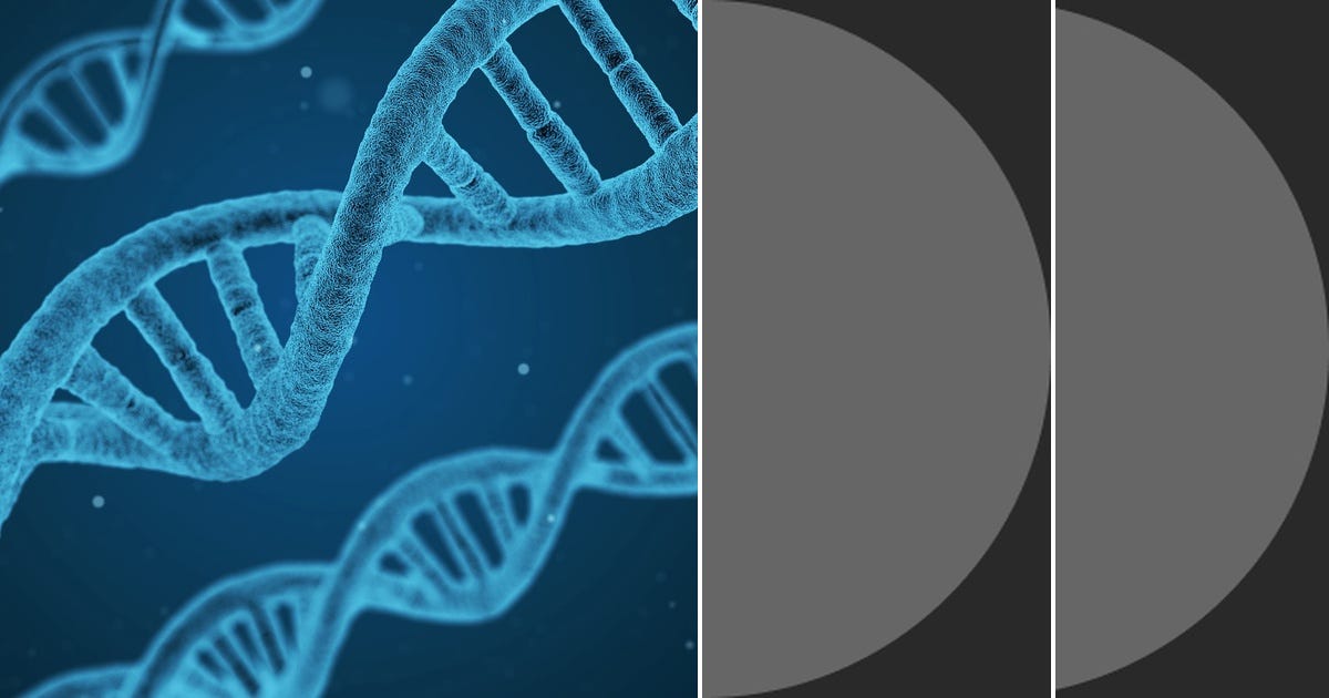 List Genetic Algorithm Curated By Ausi Fri Medium 3676
