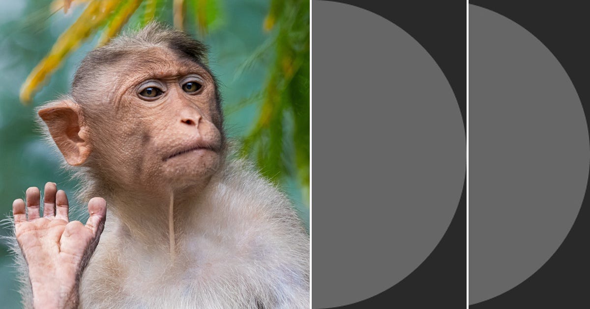 List: Flying Monkeys | Curated by Eric Shapiro | Medium