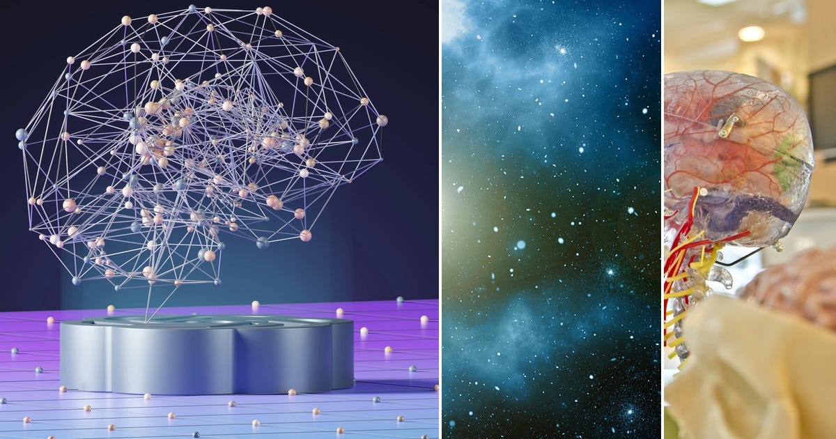 List: Brain - Mind - Consciousness | Curated by Stephen Geist | Medium