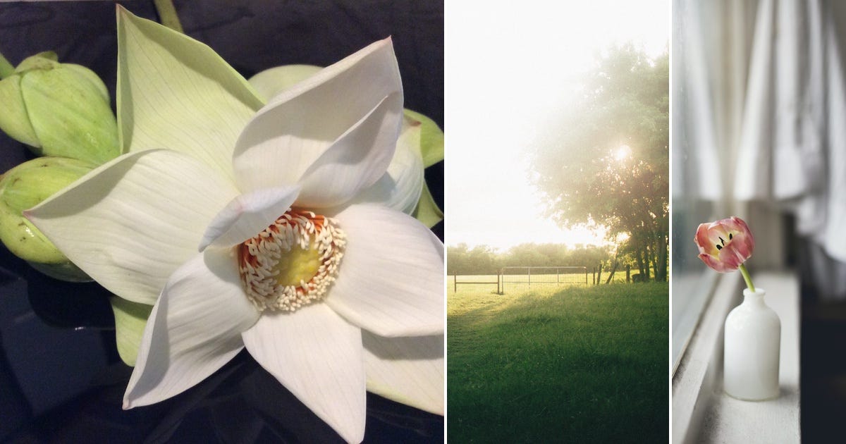 List: Better Humans | Curated by Kayjay Suga | Medium