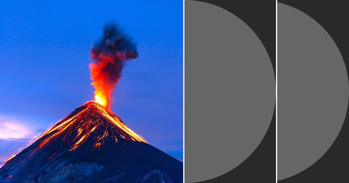 List: Photography | Curated by Andreas Funda | Medium