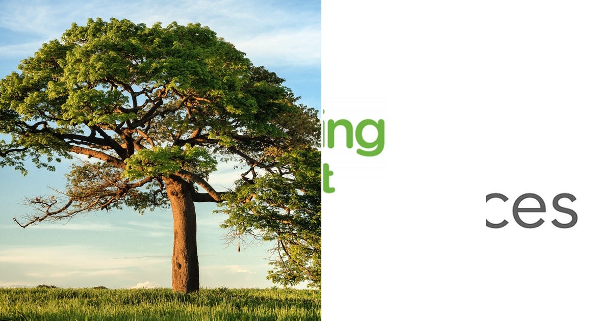 List: Spring Framework | Curated by P Meepiean | Medium