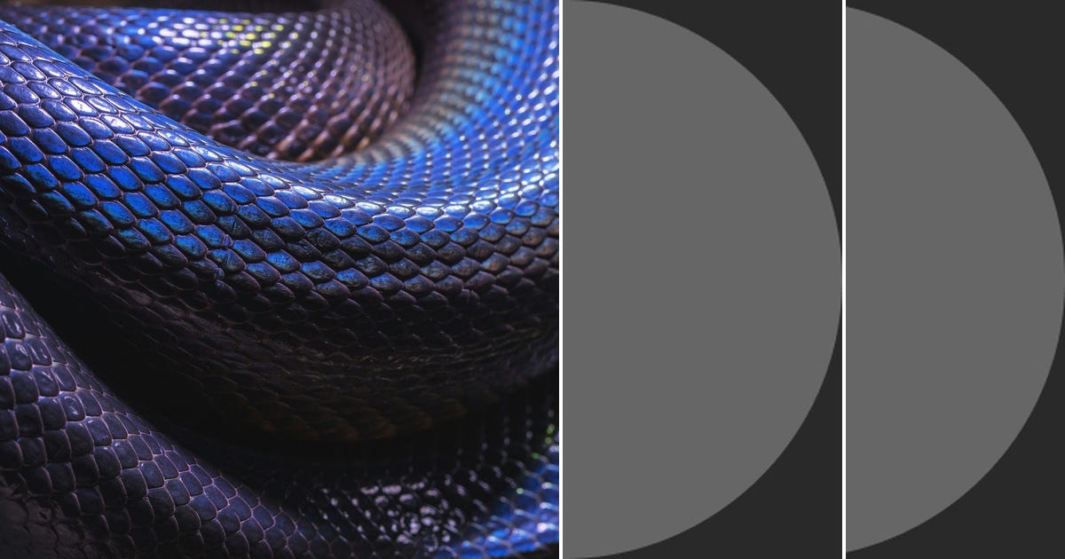 List: Python | Curated by Andrew Clarkin | Medium