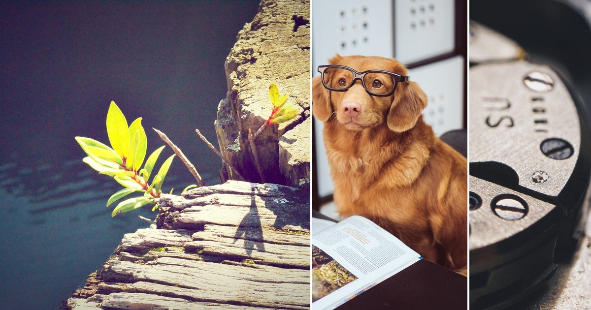 List: Mindset Transformation | Curated by Roland Porter | Medium