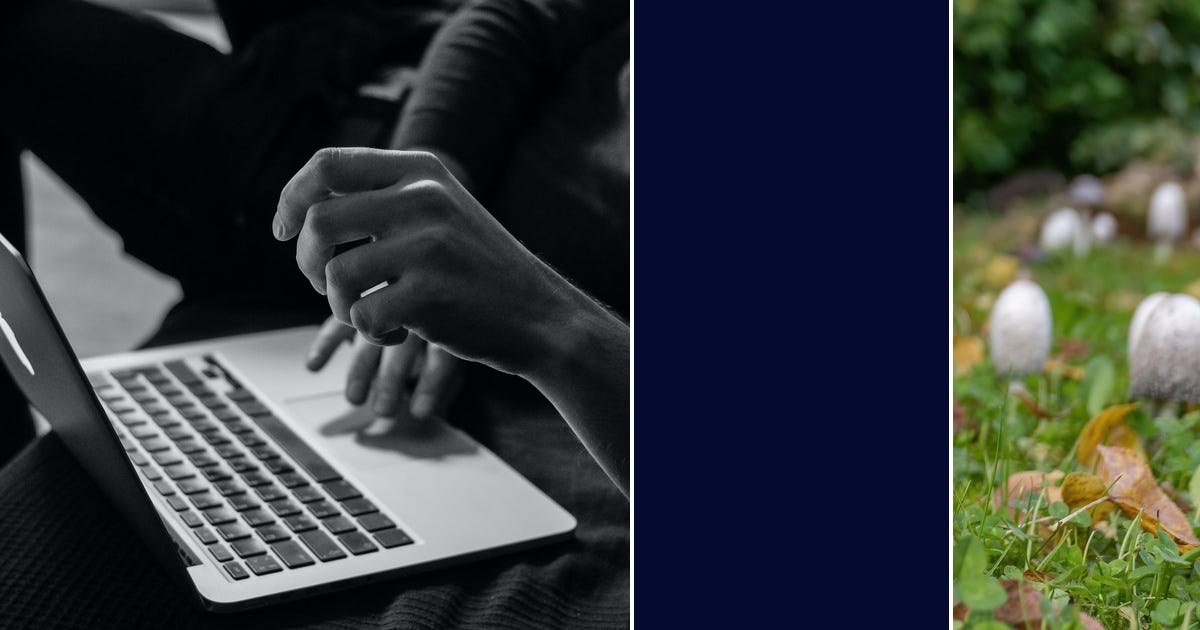 List: JavaScript | Curated by Ismail Yucel | Medium