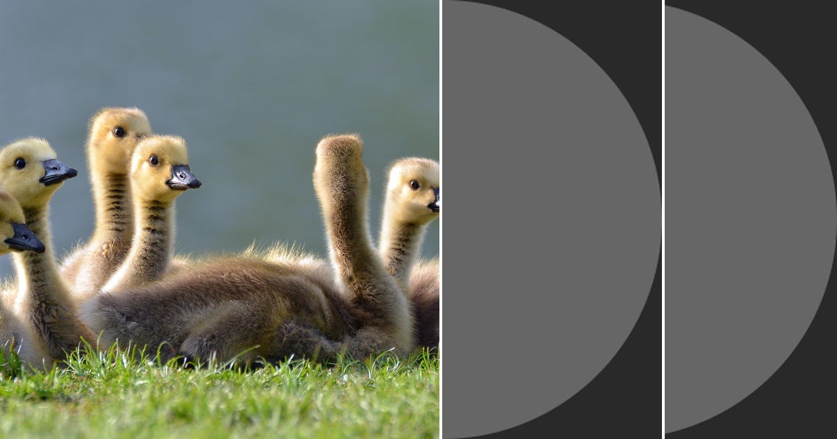 List: DBSCAN | Curated by samiya akhtar | Medium