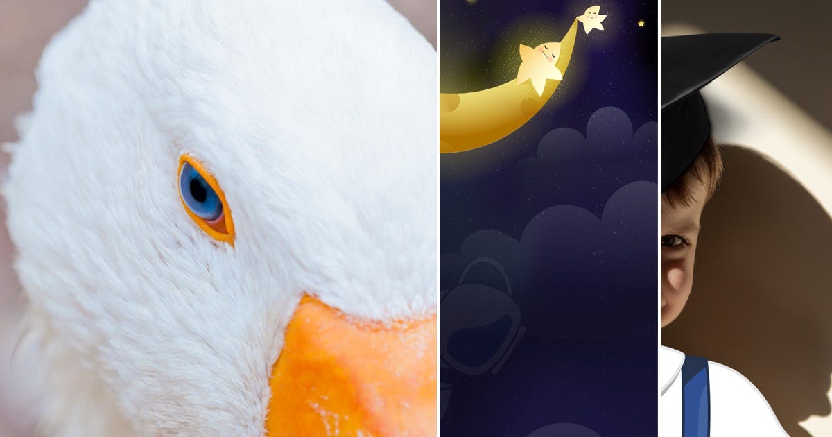 List: Poetry | Curated by Nancy Stephan | Medium