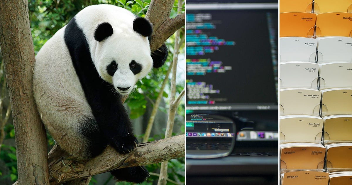 List: Preprocessing | Curated by Luthien | Medium