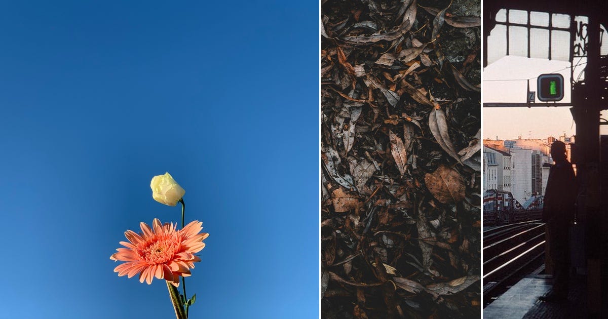 List: 🤍 | Curated by Samantha Drew | Medium