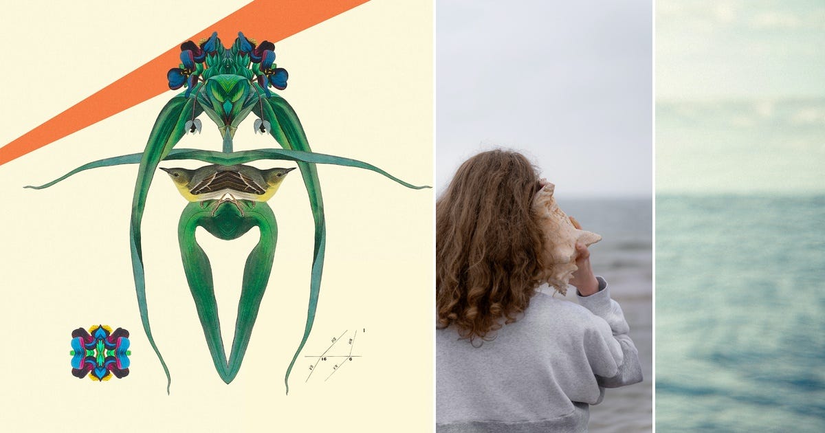 List: Psychic Abilities - The Clairs | Curated by Schematic Etheria | Medium