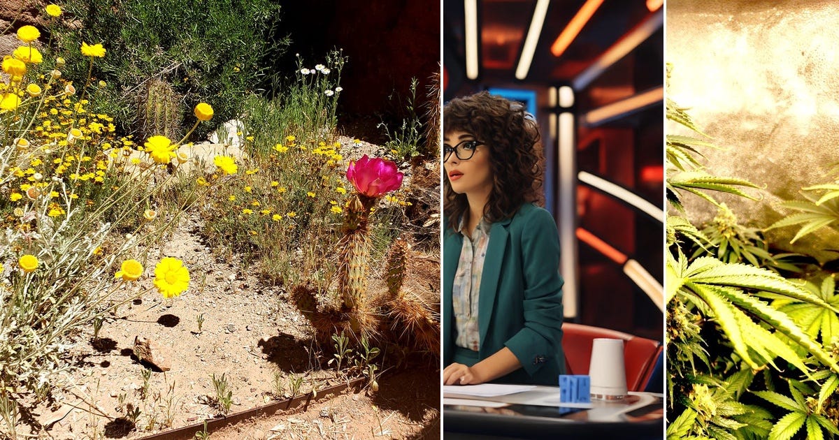 List: Reading list | Curated by Elle Becker | Medium