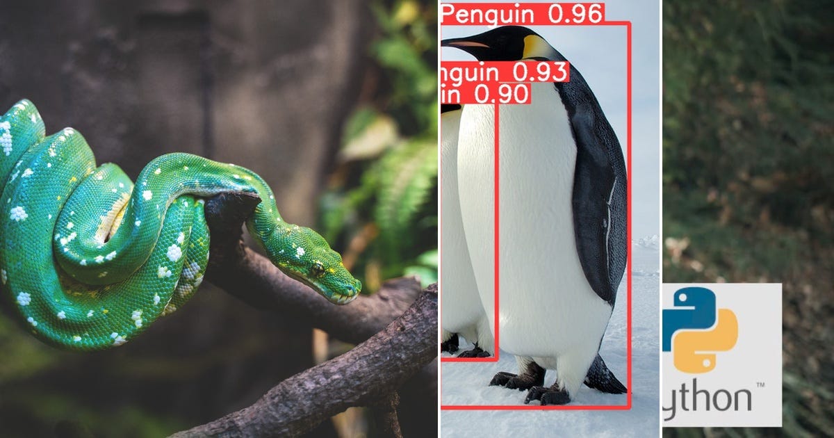 List: FaunaAI | Curated by Cengiz Cetinkaya | Medium