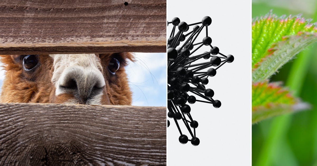 List: Python | Curated by Martin Heinz | Medium