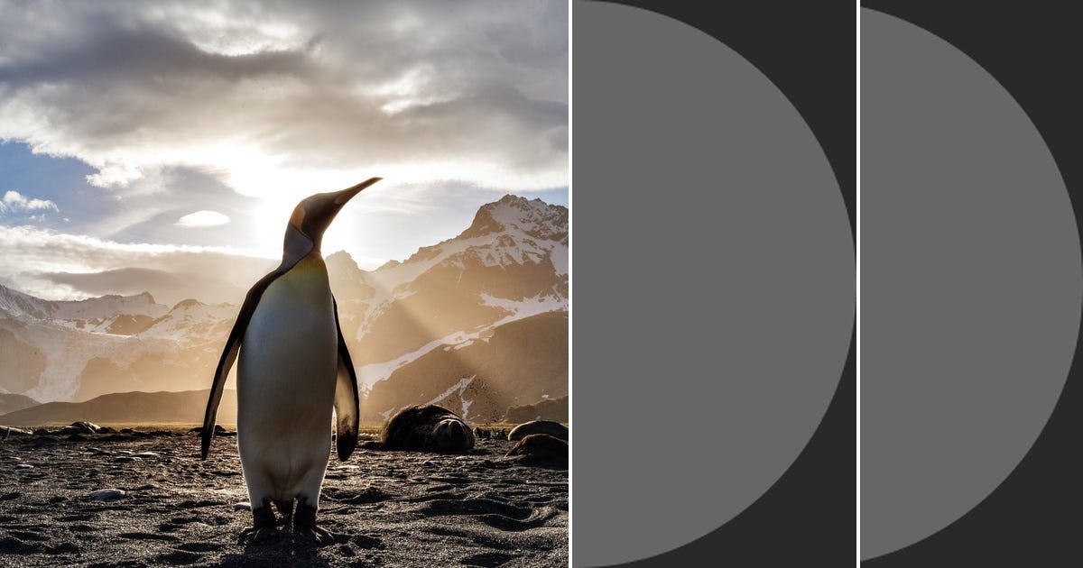 List: Around Line-us | Curated by Handyrahman's Dyas | Medium