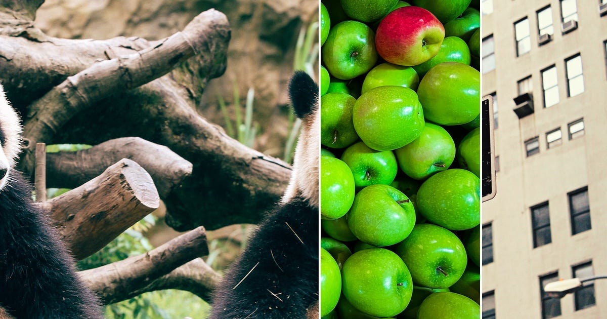 List: Python Pandas | Curated by Jim Tebbel | Medium