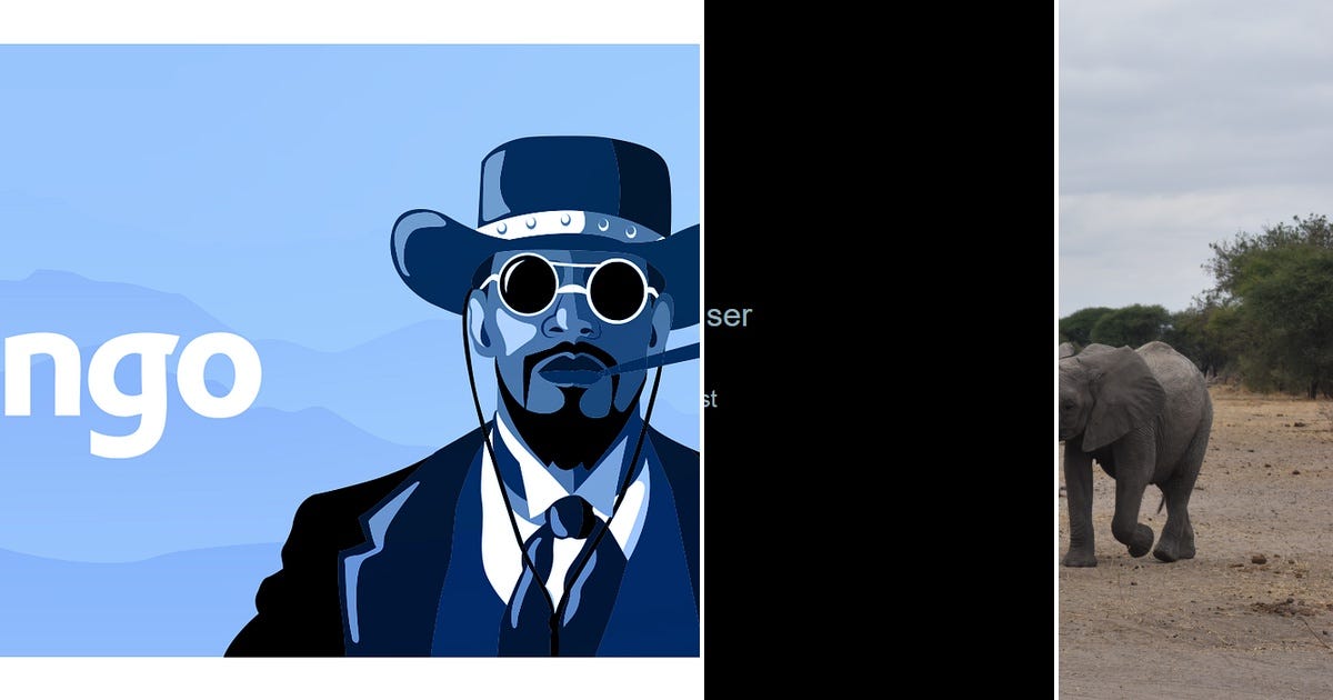 List: Django | Curated by Amar Mušović | Medium