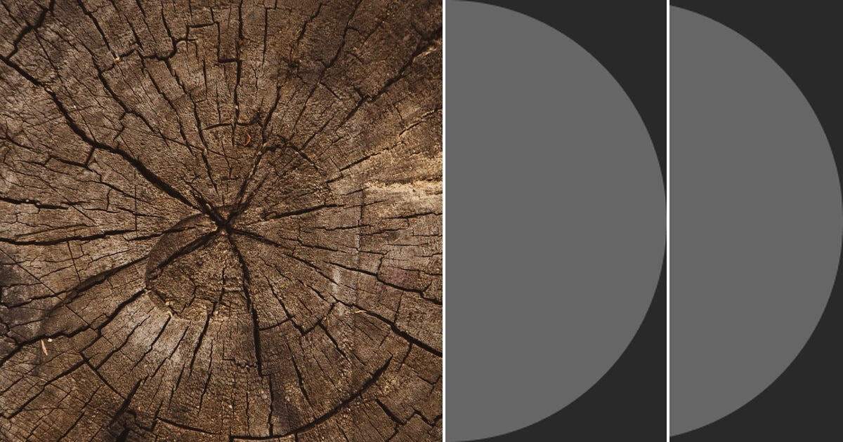 List: Roz | Curated by Theelderpb | Medium