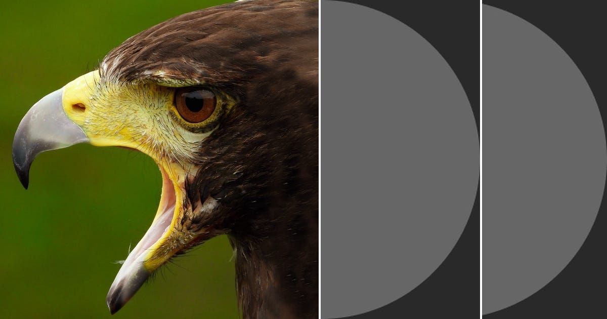 List: Custom hook | Curated by seda Aydoğan | Medium