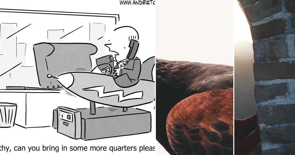 List: Pondering…🤔💭 | Curated by Lydia Tung | Medium