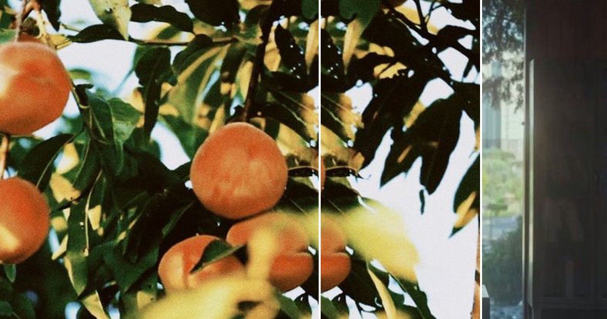 List: Reading list | Curated by jeya •᎔• | Medium