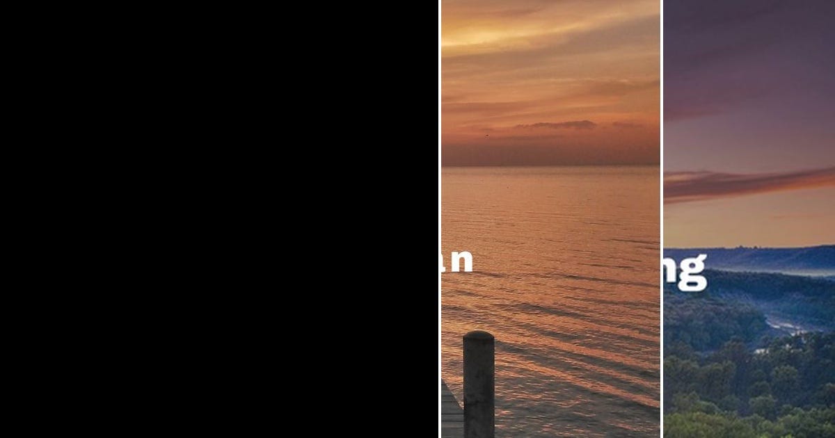 List: Reading list | Curated by Wayne Tapia | Medium