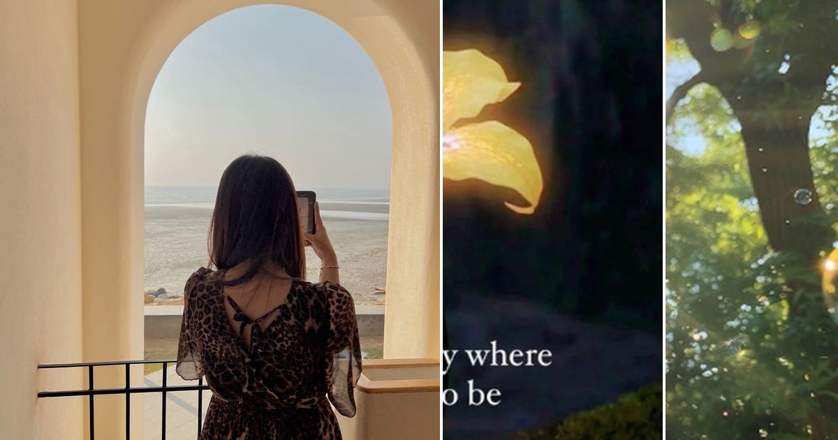 List: emotional support | Curated by Sian Daniel | Medium