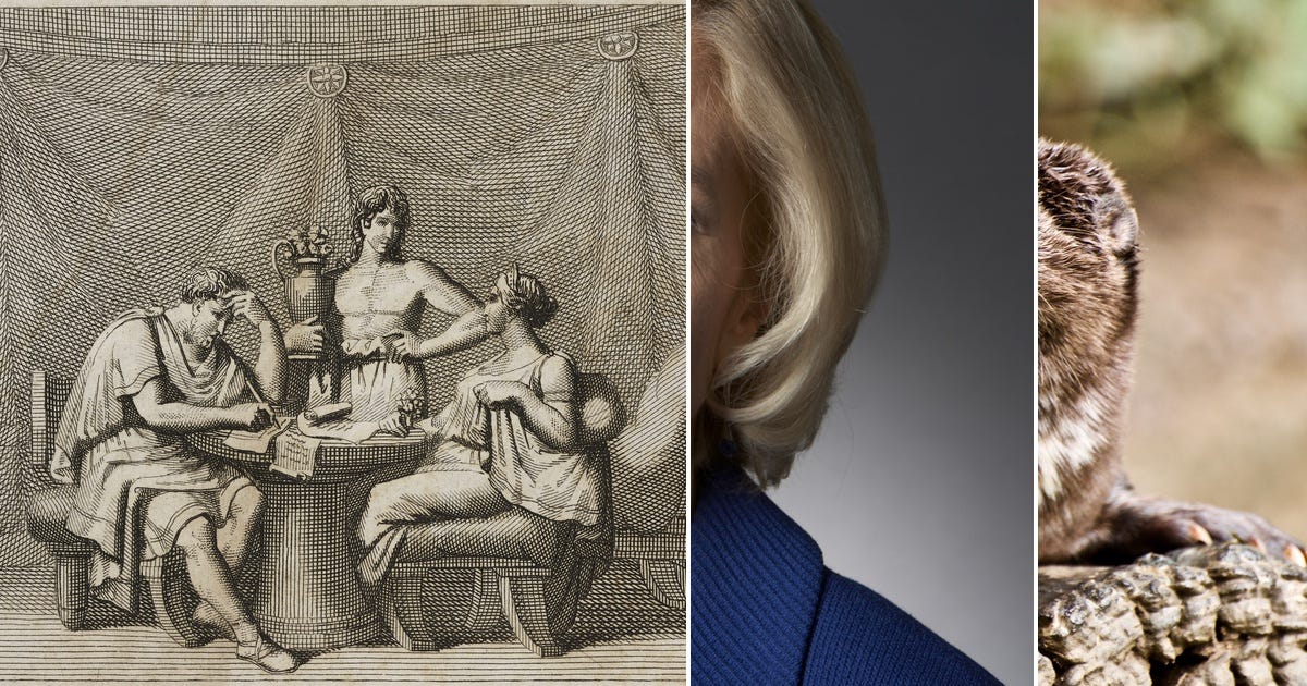 List: Stoicism | Curated by Ruben Hernandez | Medium