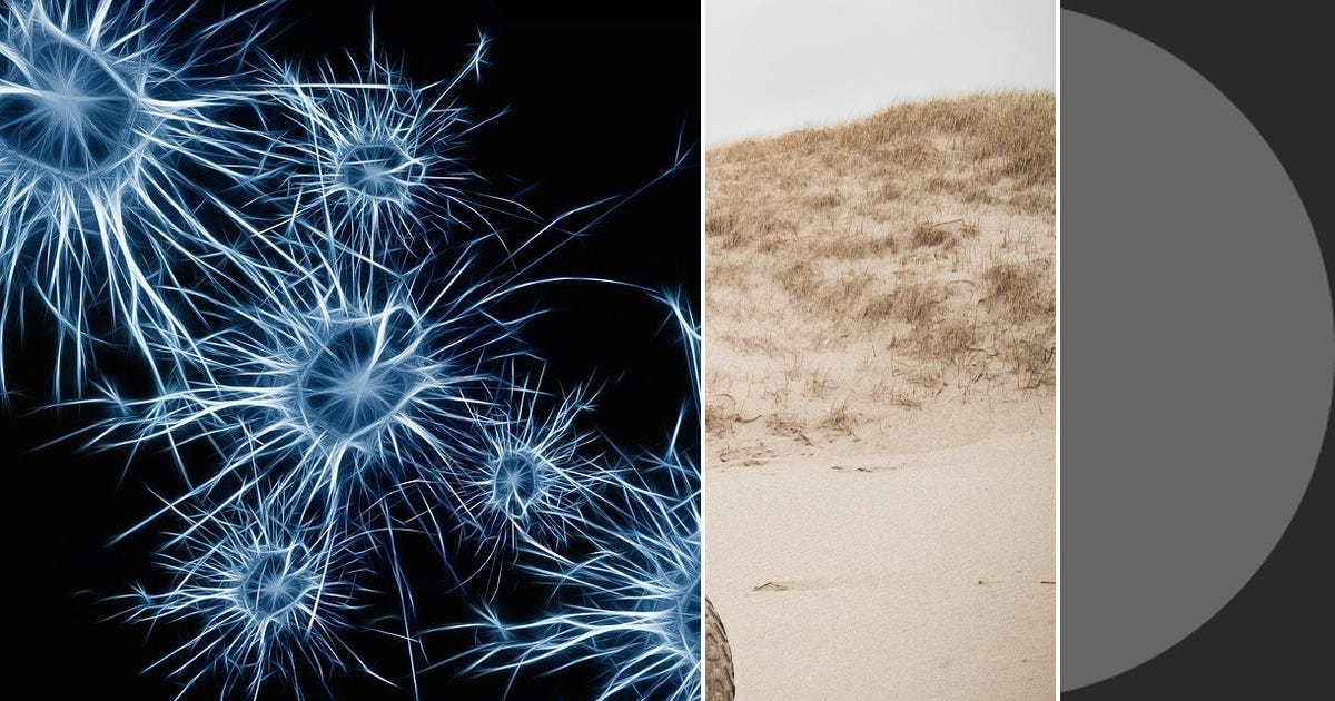 List: Programmer Motivation | Curated by Izzy Farzana | Medium