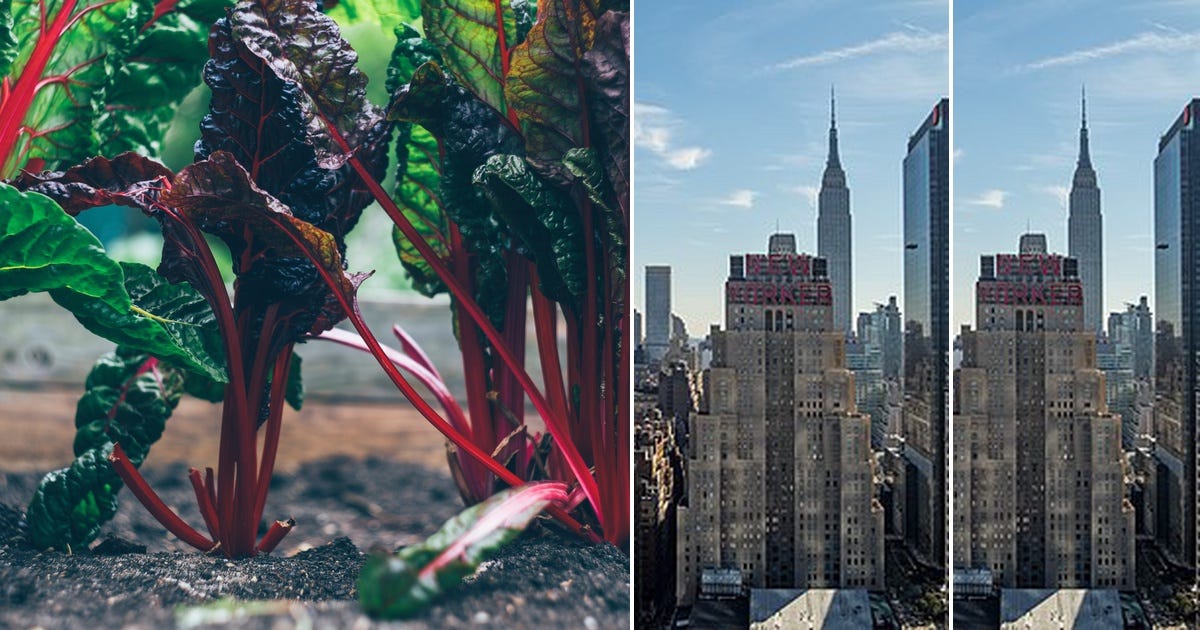 List: US Collapse by 2030 | Curated by Lindsey Knight | Medium