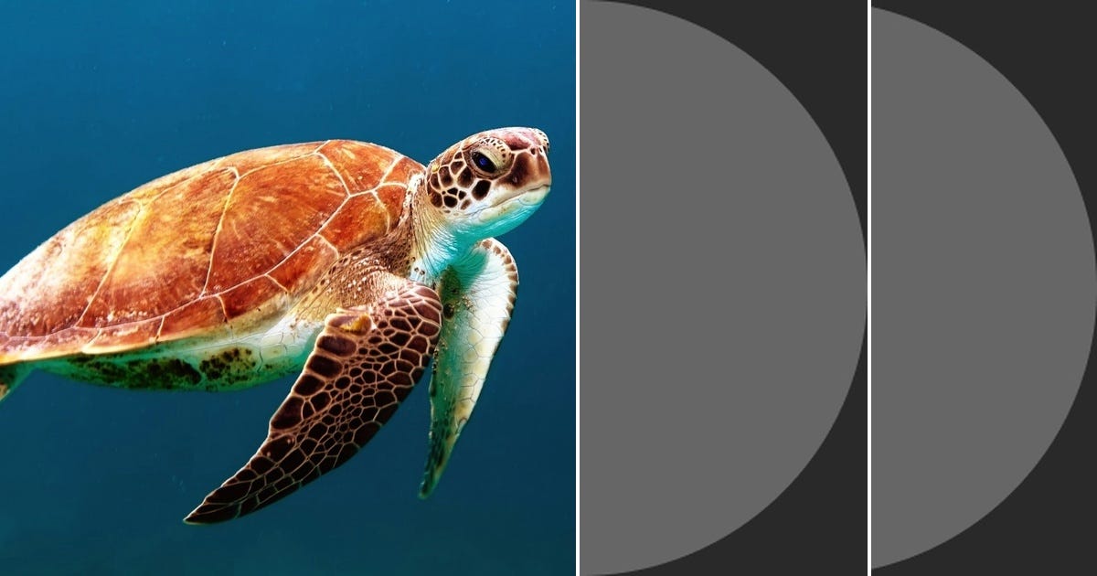 List: Visualization | Curated by Damilola Agboola | Medium