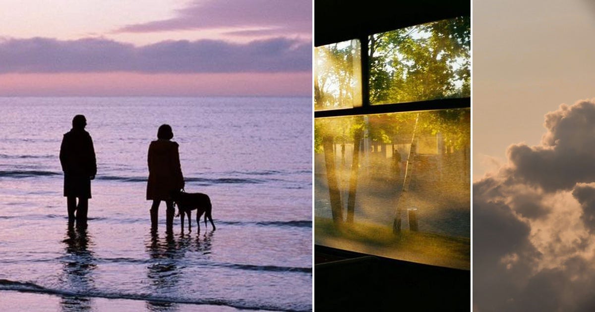 List: life | Curated by sofia nicole | Medium