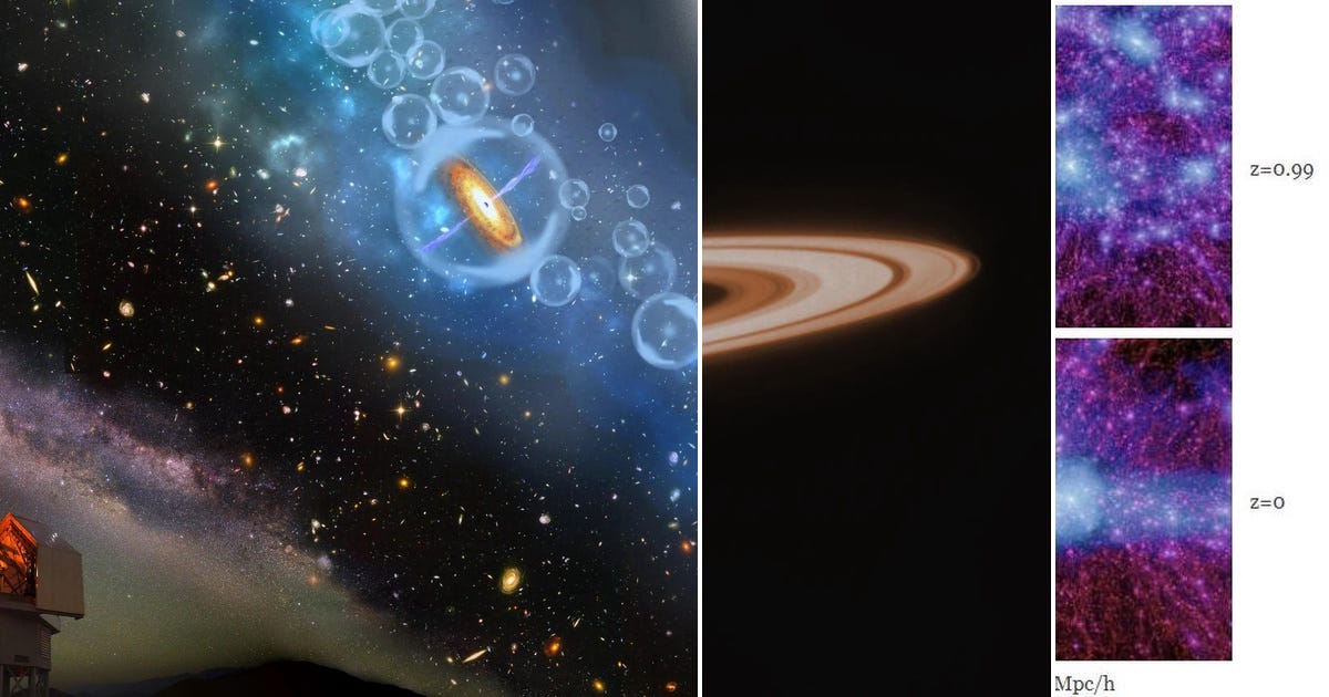 List: Siegel | Curated by Mario Lemelin | Medium