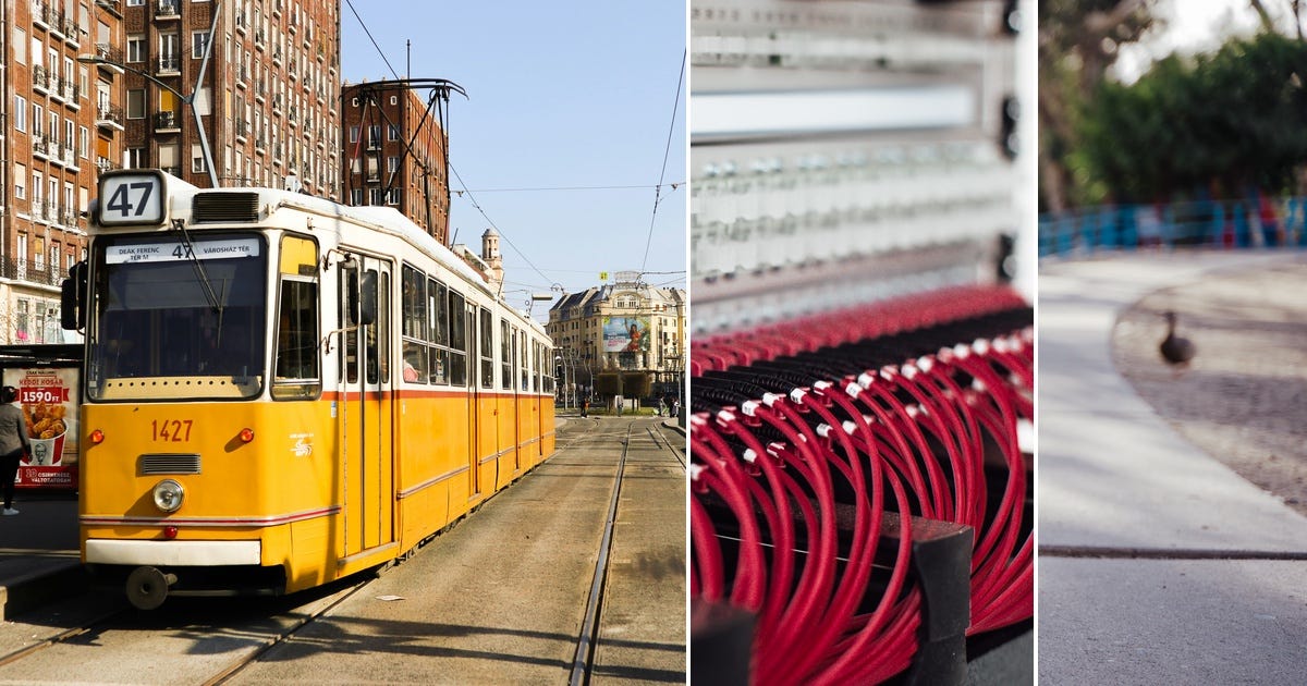 List: DuckDB | Curated by Wei-Meng Lee | Medium