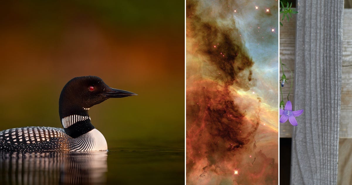 List: Poems | Curated by Emily | Medium