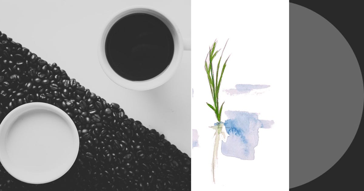 List: Wellness | Curated by Zhenya Zerkalenkov | Medium