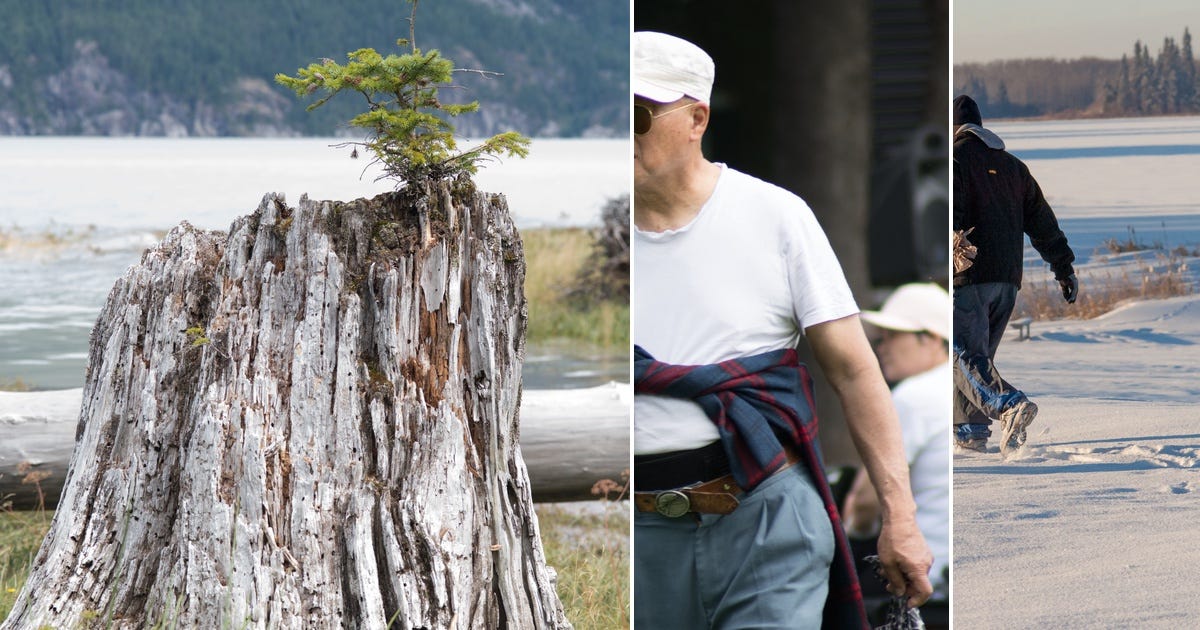 List: Environment | Curated by Marc Neal | Medium