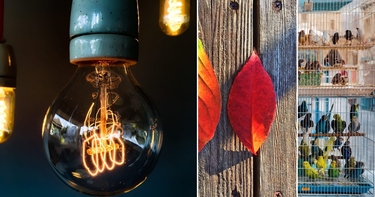 List: python | Curated by Brandon Bagley | Medium