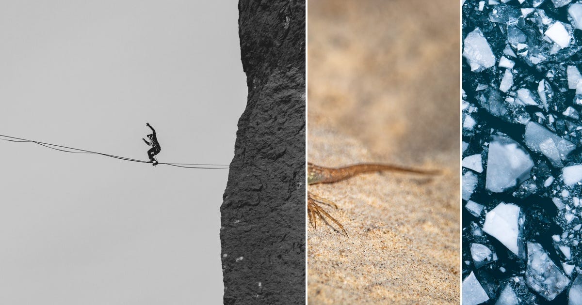 List: Snell Ranch Poems | Curated by Emily Gibson | Medium