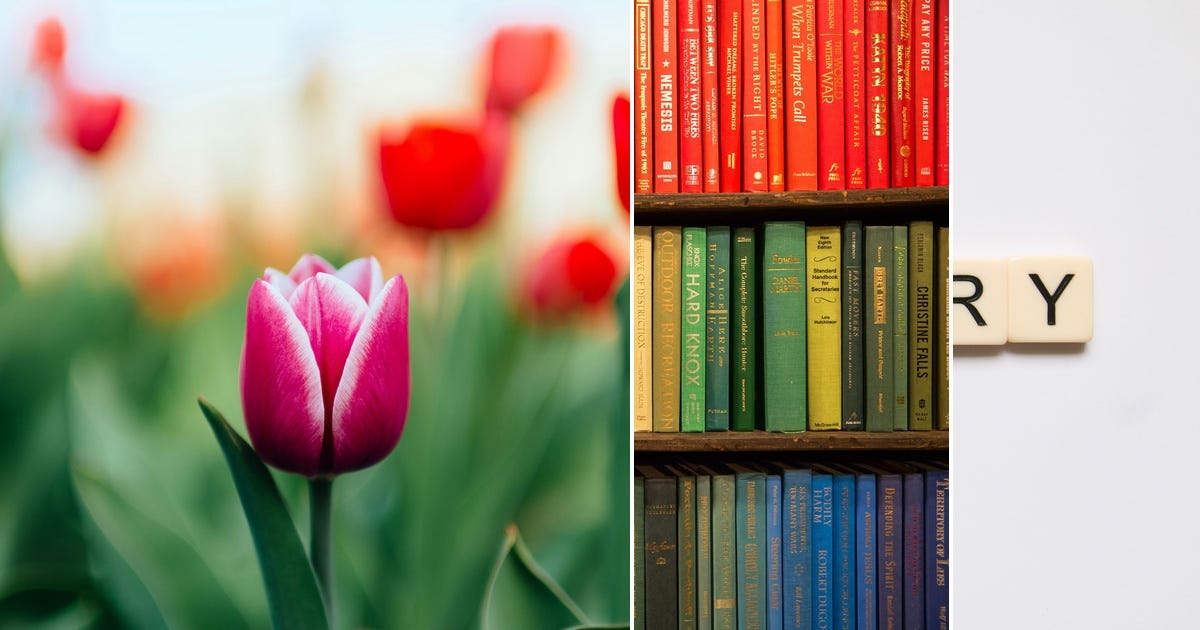 List: 25 Books in 2024 | Curated by Jaclyn Havington | Medium